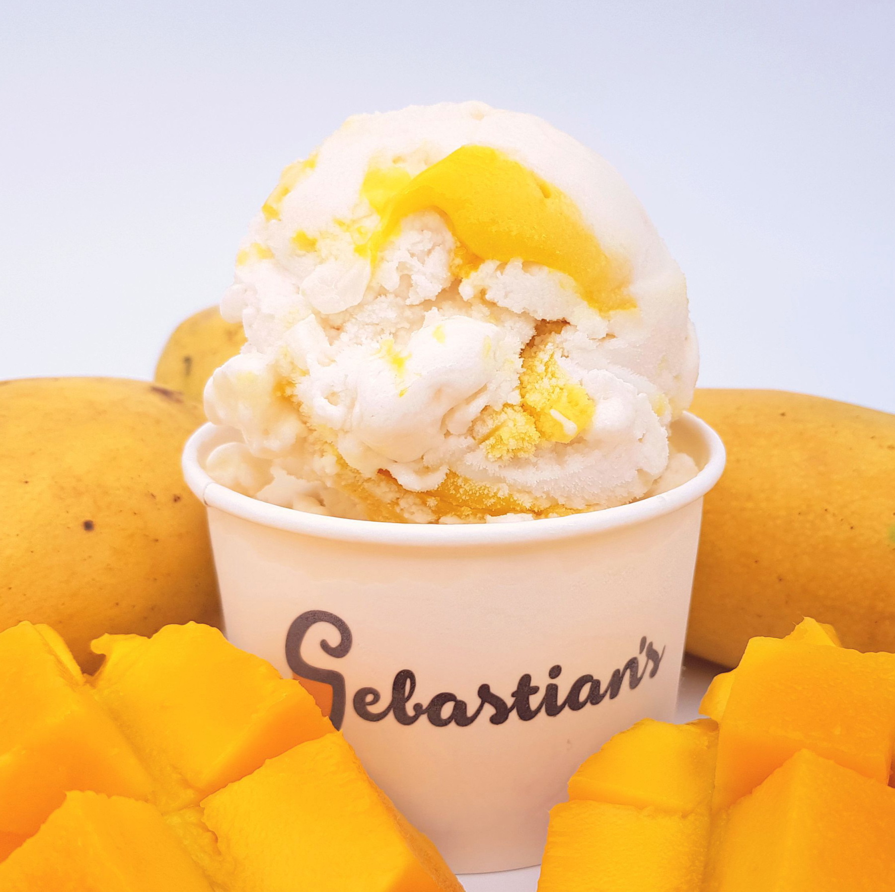 SUMMER OF SEBASTIAN’S 2021: FRUITY FRO-YA SERIES | Sebastian's Ice Cream